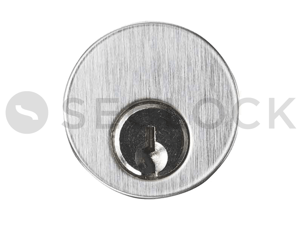 Catalog | Products | CY-1 | SECLOCK