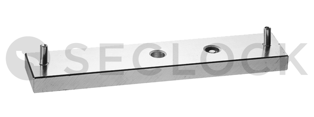 Catalog | Products | AM3335 | SECLOCK